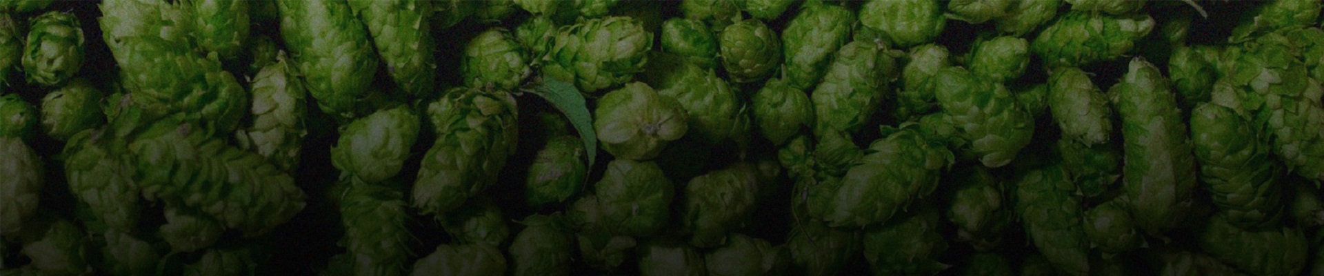 Craft Beer | Mahaska Bottling Company